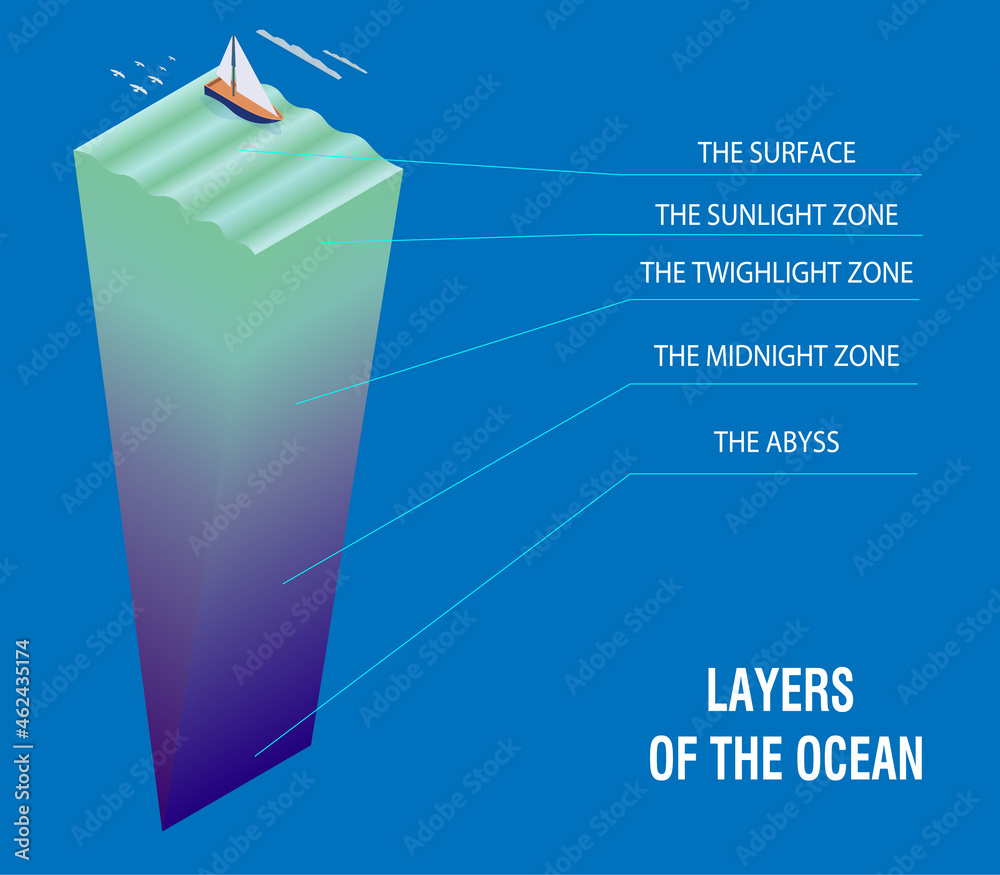Five layers of the ocean. Ocean geography Illustration. Stock ...