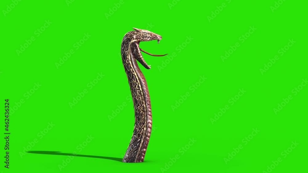 Dragon Snake Green Screen Comes out of the Ground 3D Loop Rendering ...