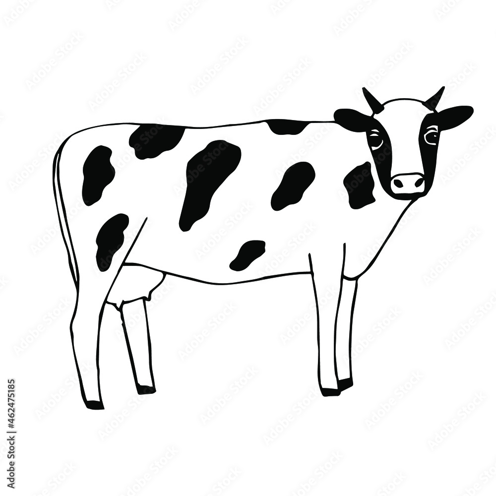 Cow vector illustration, hand drawing doodle Stock Vector | Adobe Stock