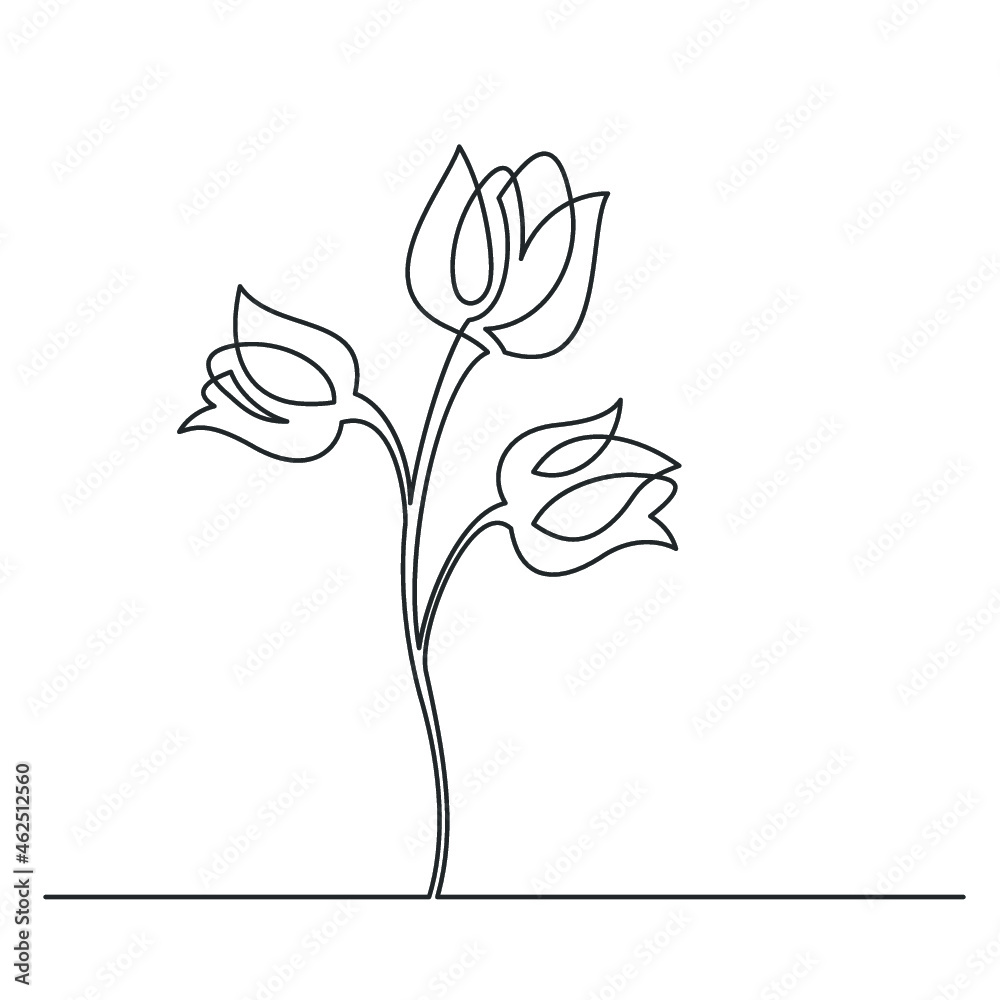 Continuous line drawing of flower. Vector illustration Stock Vector ...