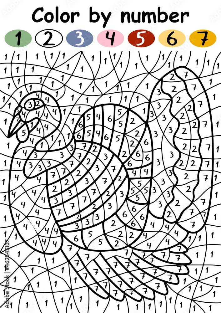 Alive turkey bird color by number vector illustration. Hand-drawn farm ...