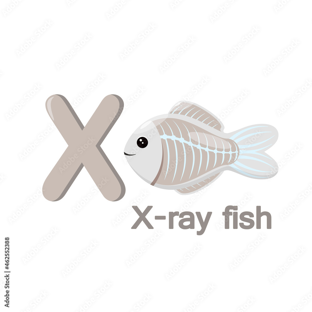 X-ray fish. Cute fish in cartoon style. Children's alphabet. Stock ...