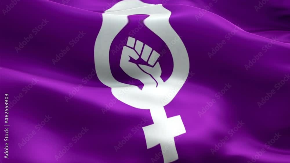 Femme Pride Flag. new Feminist marriage Flag background video waving in ...
