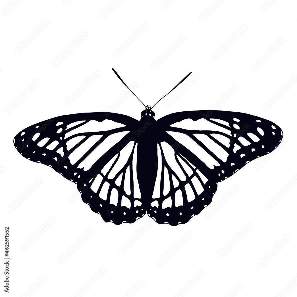 butterfly vector icon design Stock Vector | Adobe Stock