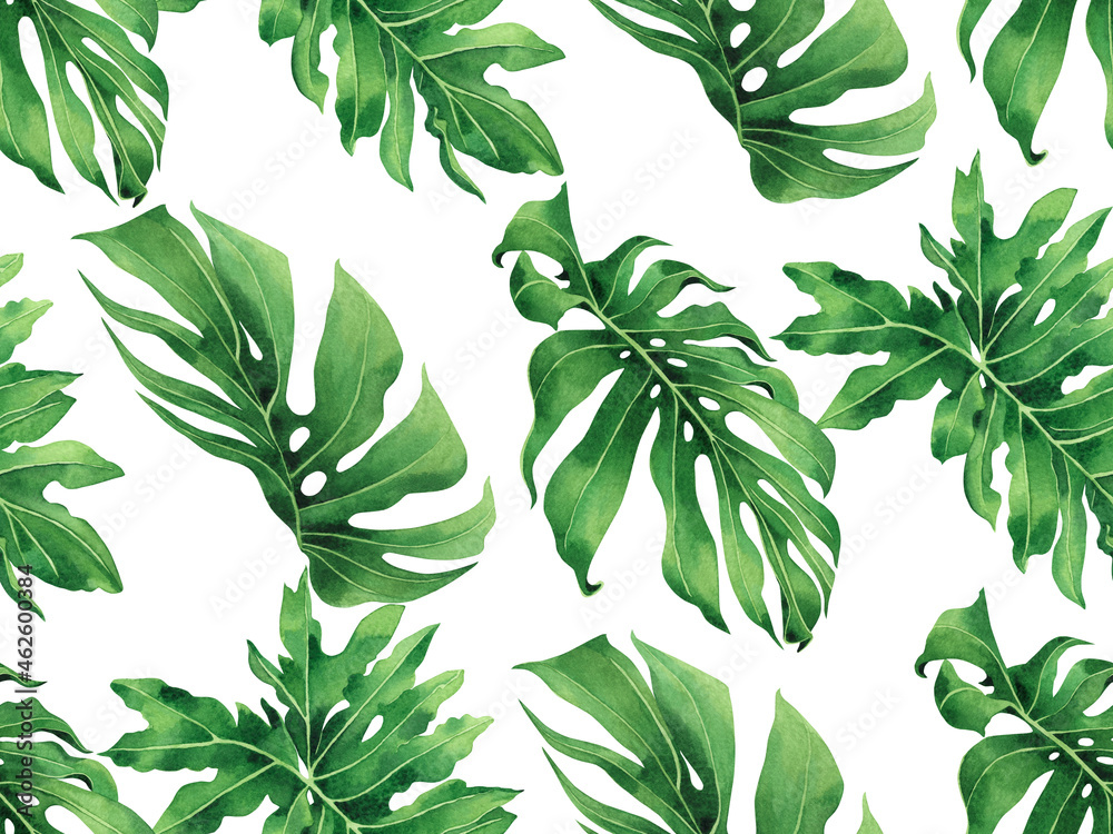 Watercolor painting monstera leaves seamless pattern on white ...
