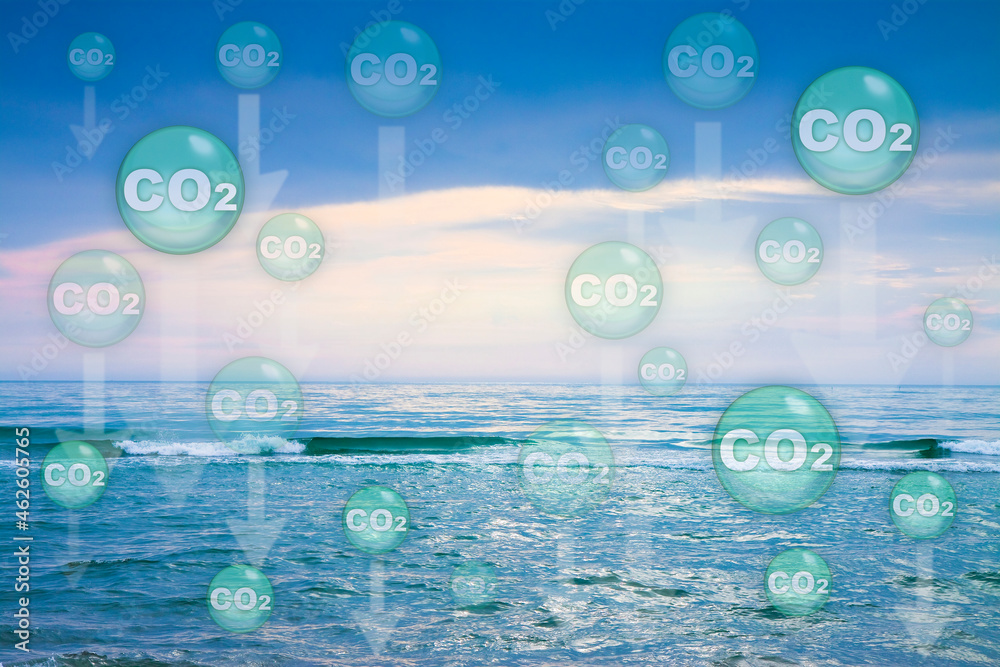 Recent scientific research shows that 1/3 of anthropogenic CO2 Carbon ...