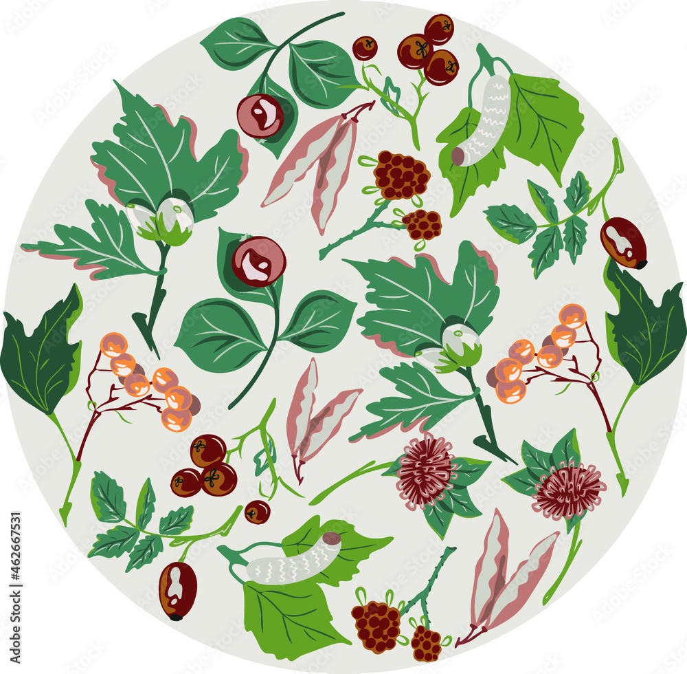 Plant pattern in a circle pattern. Vector graphics. Background for tags ...