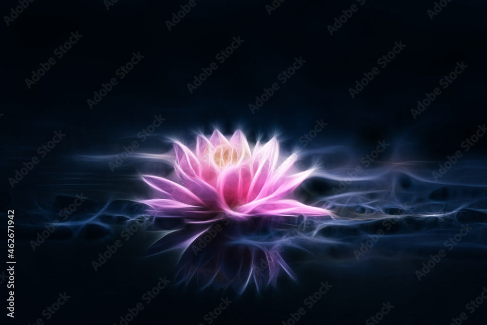 Pink lotus flower dark background pictorial rendering Stock ...