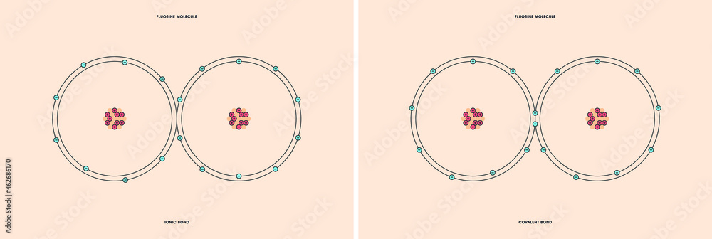Conceptual vector representation of a fluorine molecule, made up of two ...