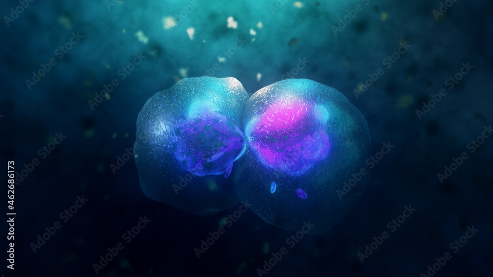 Cell division under a microscope. Cloning Cells. Cell mitosis. Stock ...