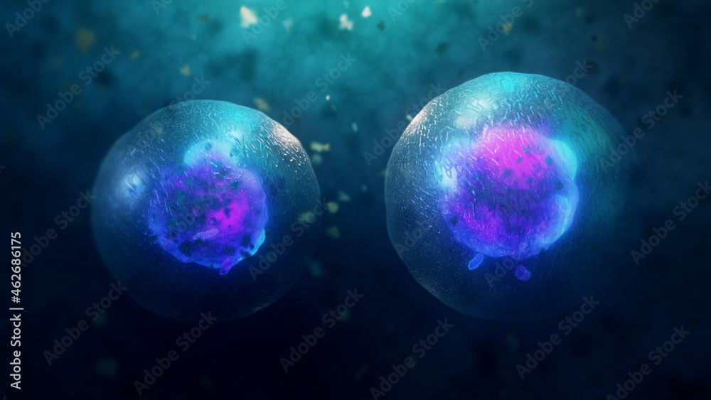 3D Concept of Cell division under a microscope. Cloning Cells. Cell ...