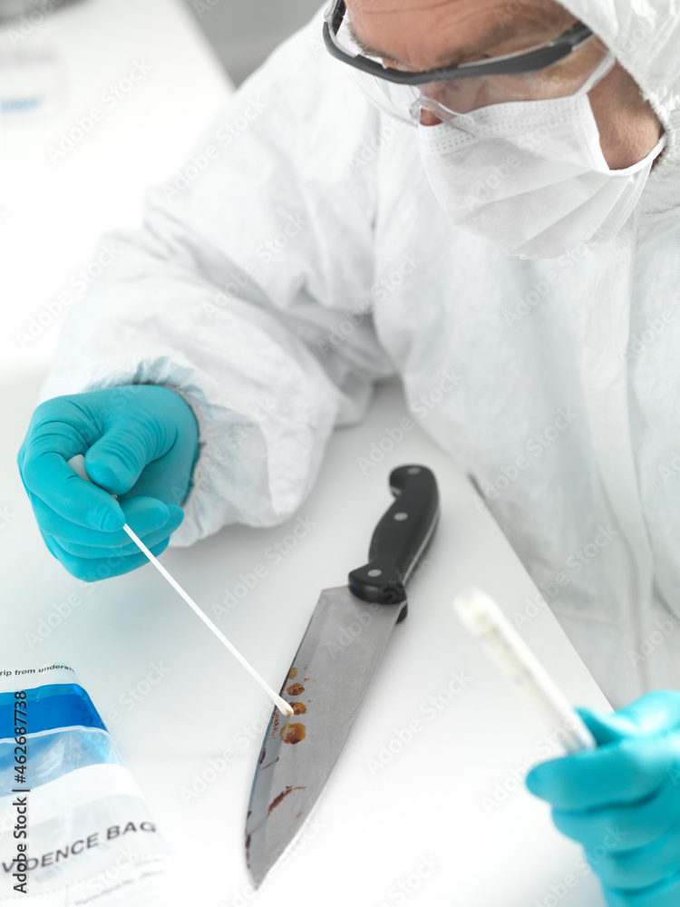 Forensic scientist taking DNA evidence from a blood smeared knife Stock ...