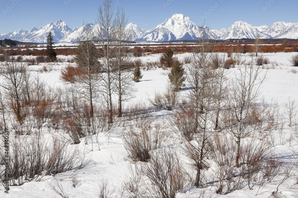 Mount Moran Skillet Glacier Grand Teton National Park Mountain Range ...