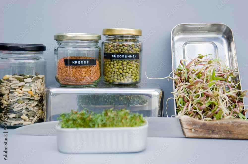 Preserving jars with grain, mung sprouts and cress, home grown sprouts ...