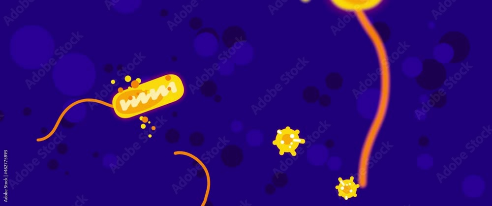 Flat animation of a virus with a flagellum floating in water. A ...