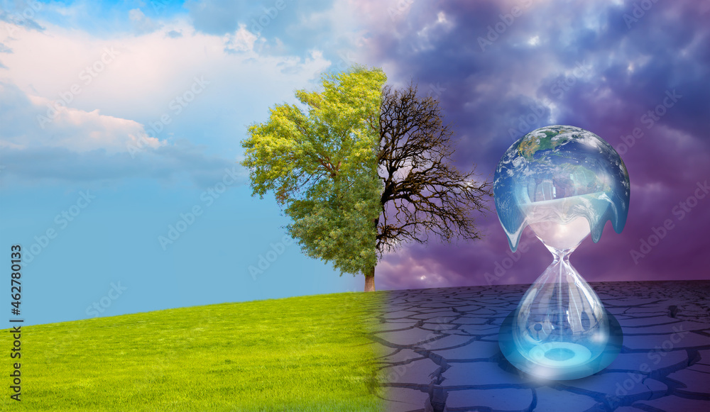 Dead tree with lightning on one side and living tree on the different ...