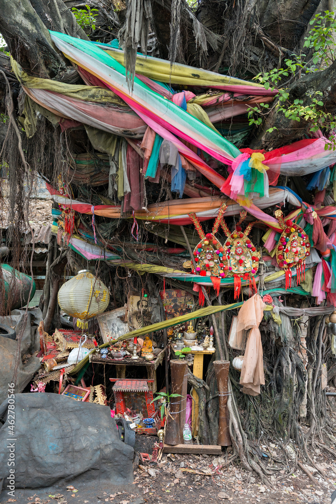 Holy tree at Chow Sue Kong Shrine, Duang Tawan Alley, Bangkok, Thailand ...