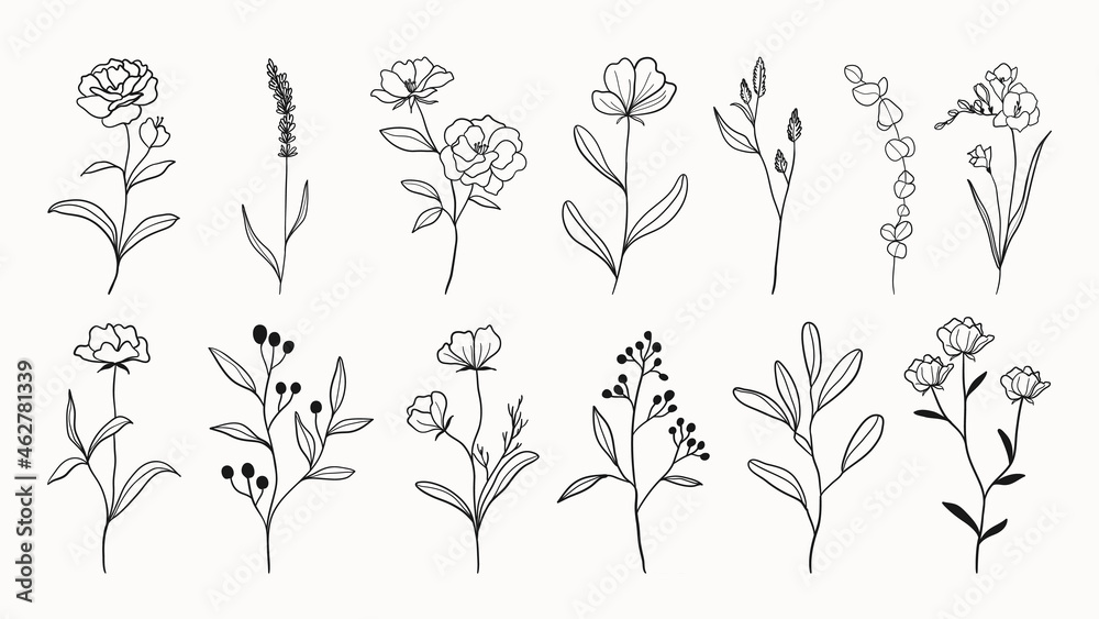 Botanical arts. Hand drawn continuous line drawing of abstract flower ...