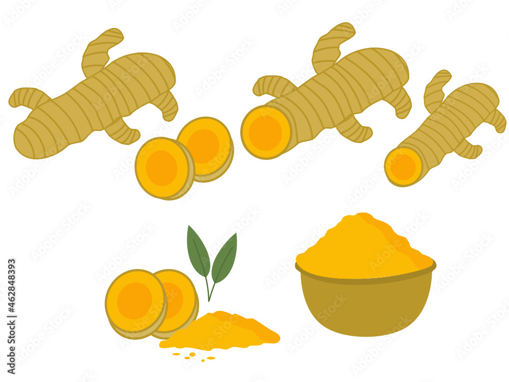 Turmeric slices with root and powder.Curcuma plant.Herb and food.Spicy ...