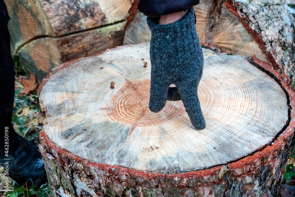 Man wearing hand glove pointing at tree stump while standing outdoors ...
