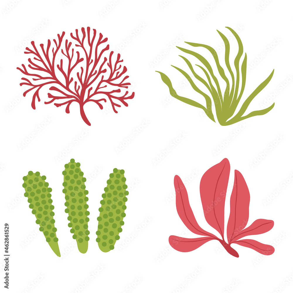 Algae vector set. Aquarium plants, underwater planting. Aquarium, ocean ...