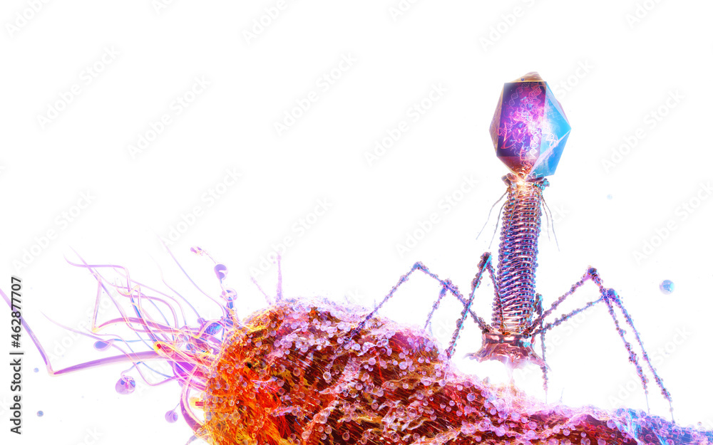 Bacteriophage virus attacking and infecting bacteria. Phage virus T4 ... Bacteriophage virus attacking and infecting bacteria. Phage virus T4 ...