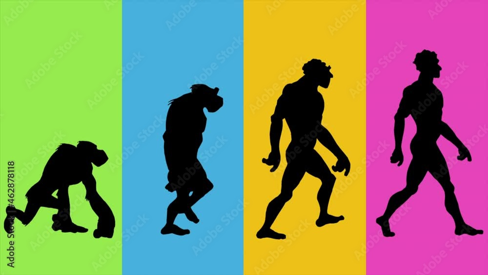 Human Evolution. From a Monkey, Neanderthal, Primate to a HomoSapiens ...