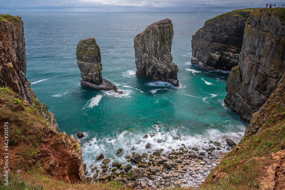 Elegug Stacks, Pembrokeshire, south Wales. The stacks are a unique ...