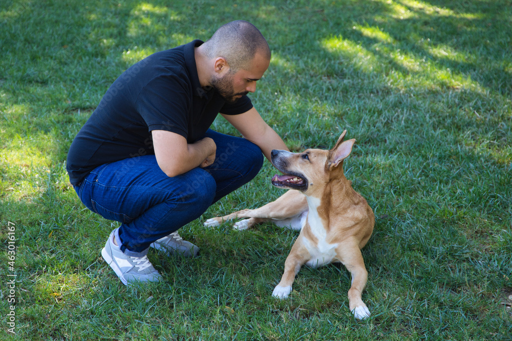 adult man talking to his dog in the park and having fun. The dog is ...