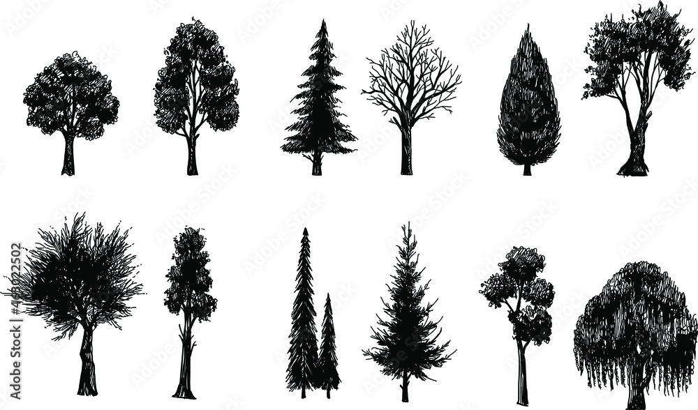 Black and white hand drawn set of silhouettes of trees. Element vector ...