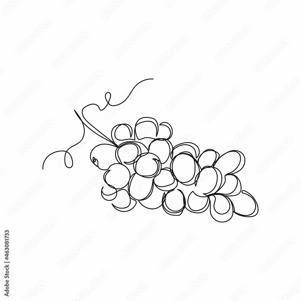 Continuous one single line drawing of grapes in silhouette on a white ...