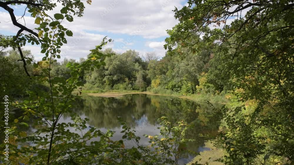 Natural meditation peaceful calm background with static green forest ...