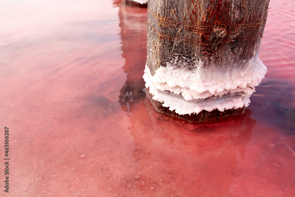 Foto de The pink lake is a beautiful landscape, unusual nature. A ...