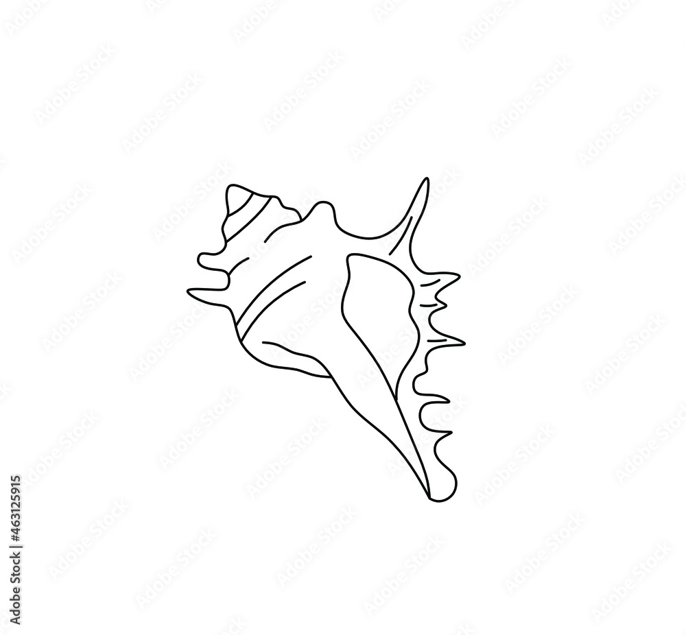 Vector isolated realistic sea shell contour line drawing. Colorless ...