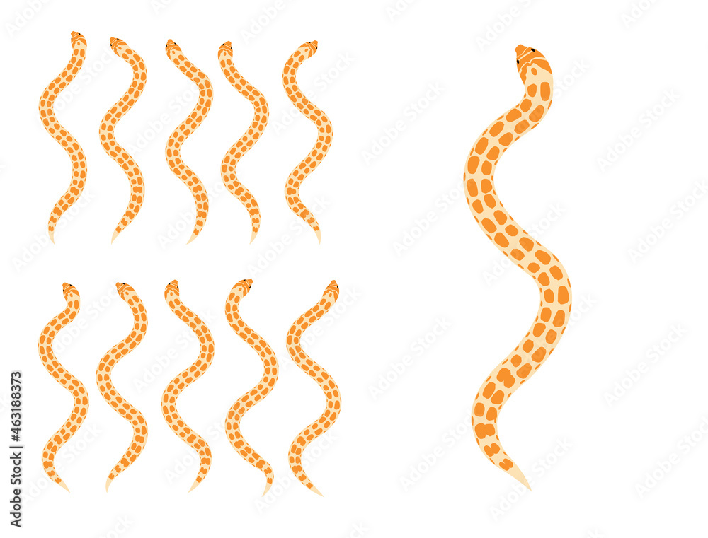 Animal Animation Sequence Hognose Snake Cartoon Vector Stock Vector ...