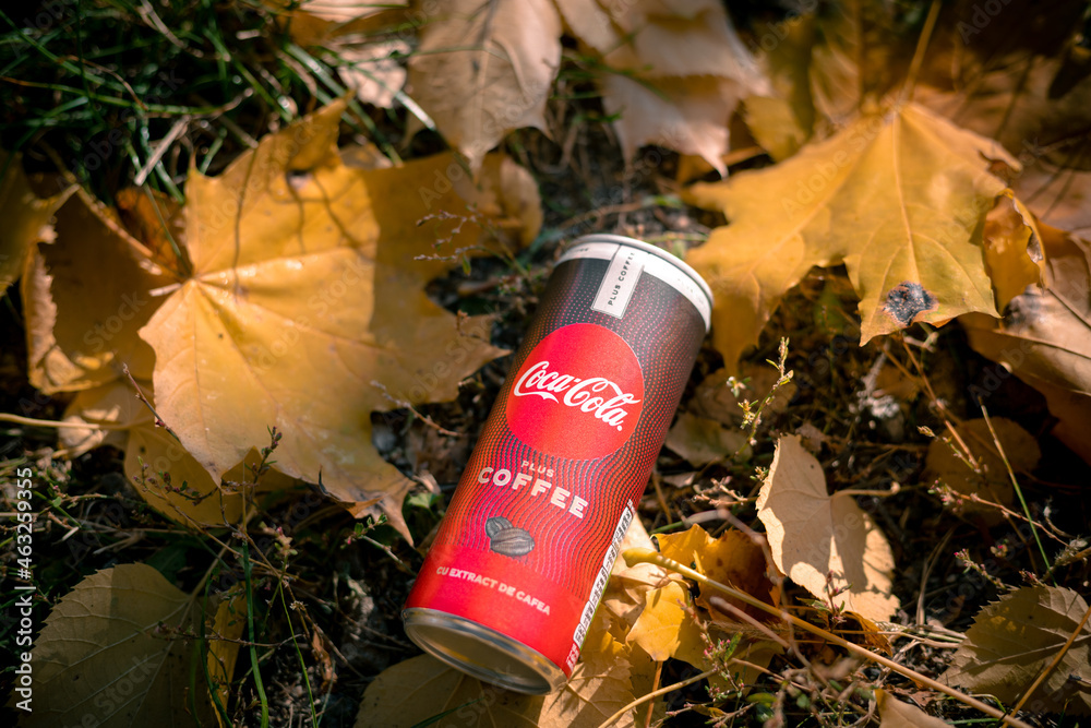 Can of Coca-Cola with caffeine on yellow autumn leaves. Delicious and ...