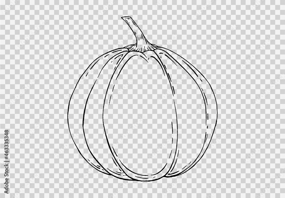 Outline pumpkin hand draw with brush style isolated on png or ...