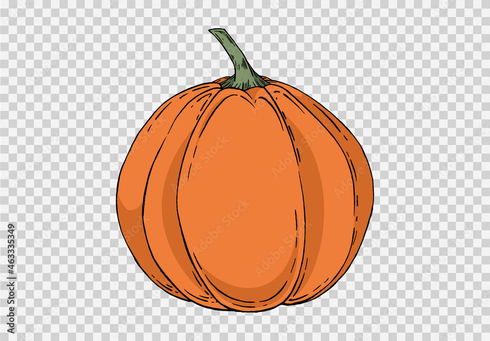 Pumpkin hand draw brush paint style isolated on png or transparent ...