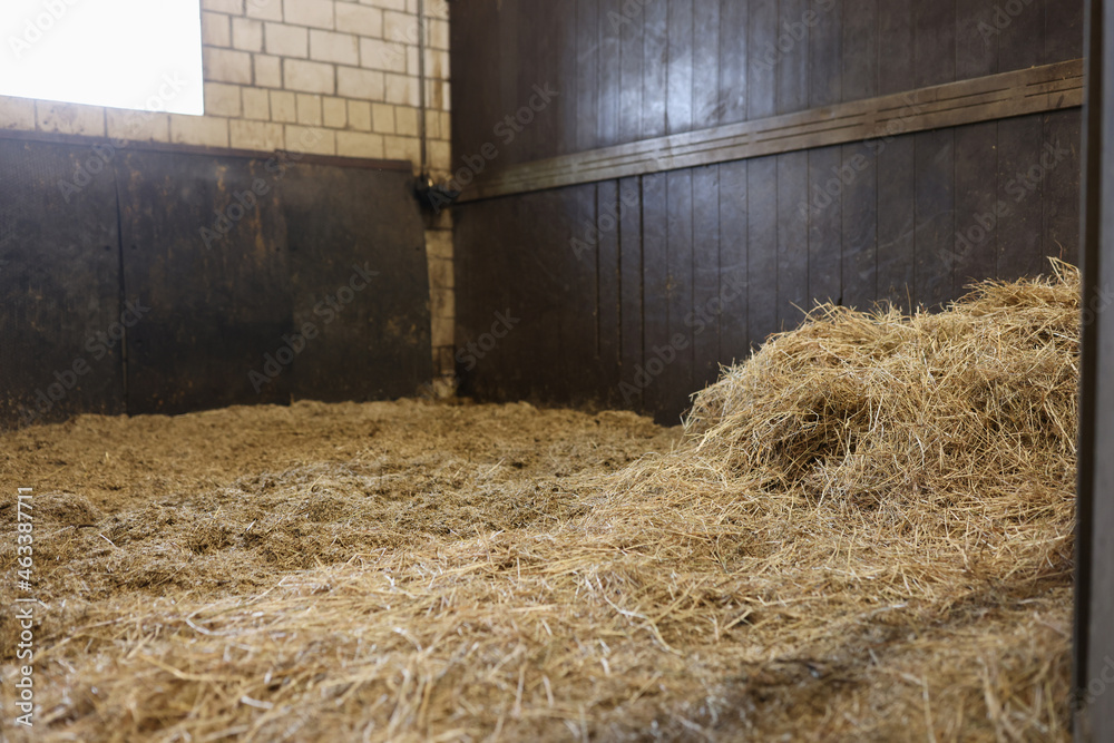 Empty stall in the stable with hay closeup Stock Photo | Adobe Stock