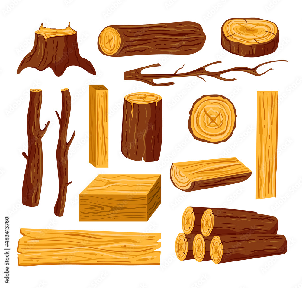 Cut raw wood trunks and planks of pine oak tree on isolated white ...