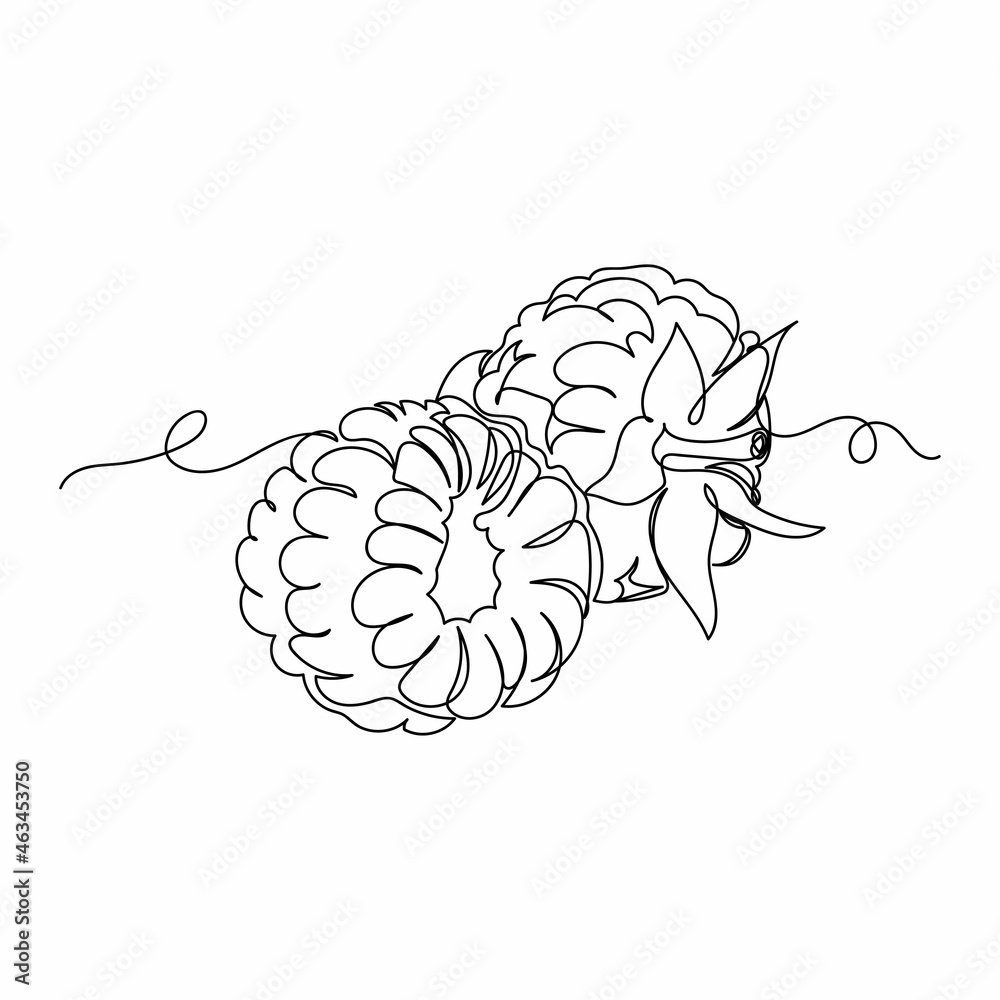 Vector illustration continuous one single line drawing of raspberries ...
