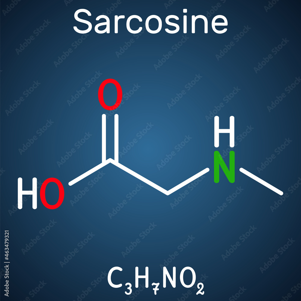 Sarcosine, N-methylglycine, N-alkylglycine molecule. It is amino acid ...
