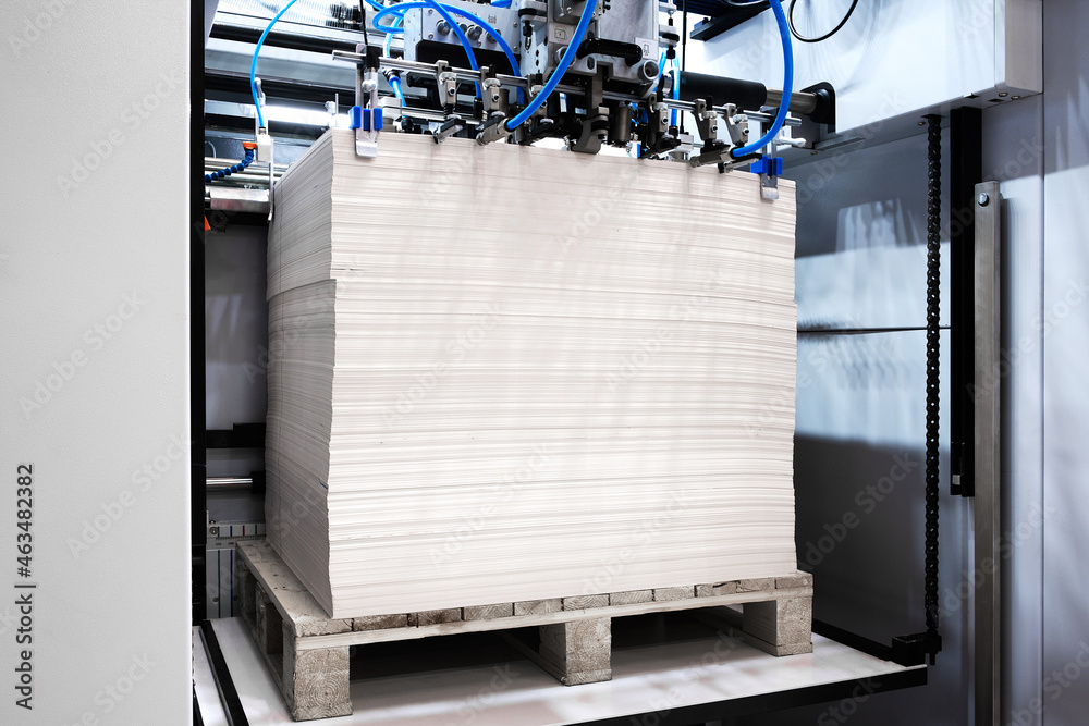 Elements of corton boxes are collected in stack. Conveyor line for the ...