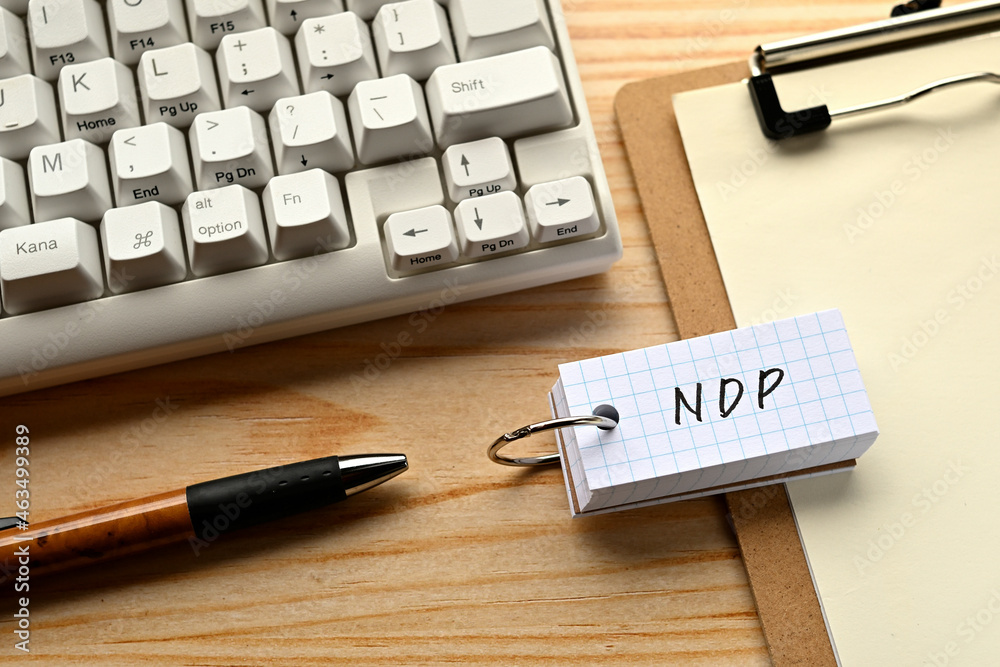There is a word book with the word of NDP which is an abbreviation for ...