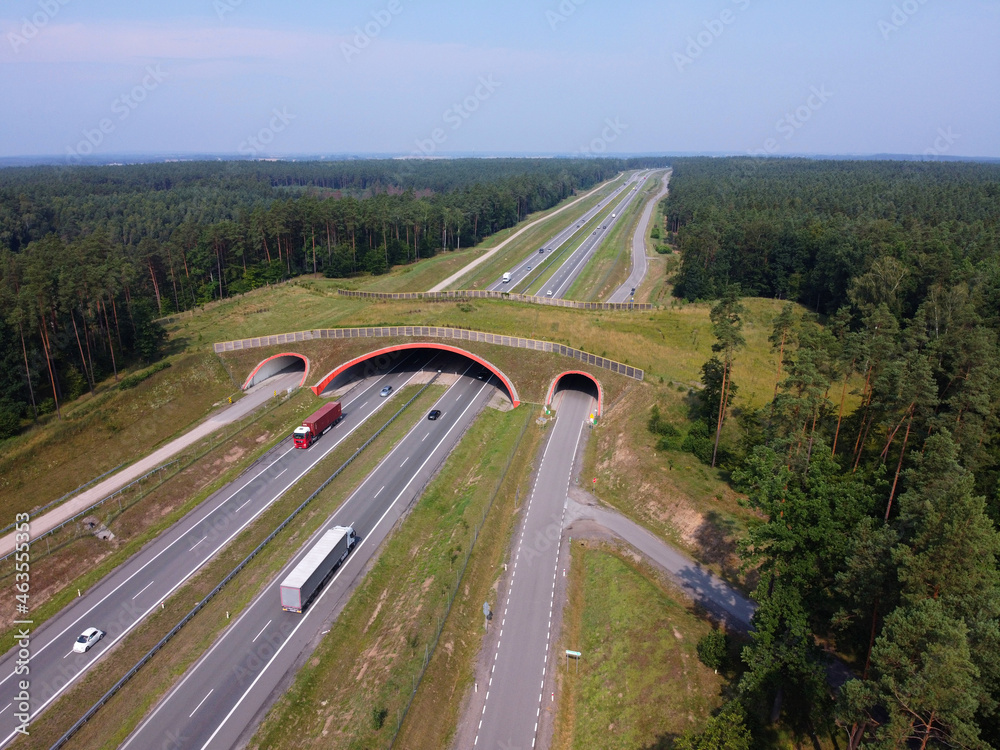 Motorway and eco crossover for fauna. Ecoduct crossing. Aerial. Ecoduct ...