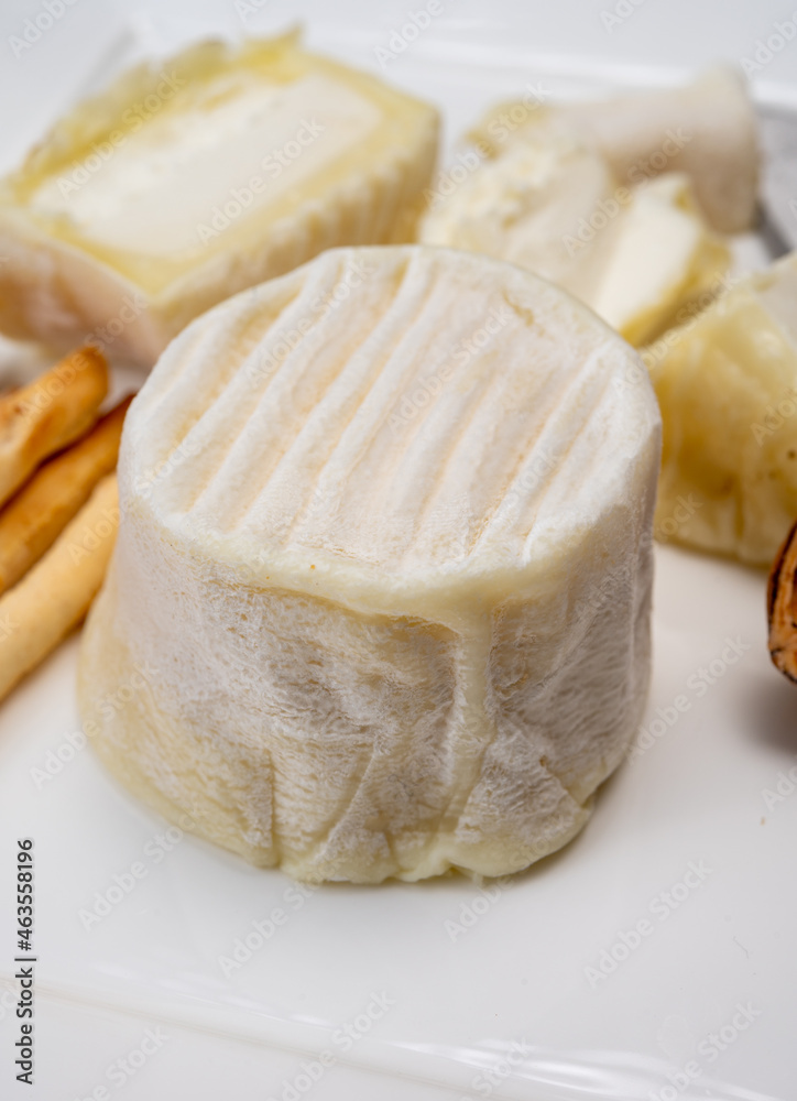 Cheese collection, soft goat French cheese with mold crottin de ...