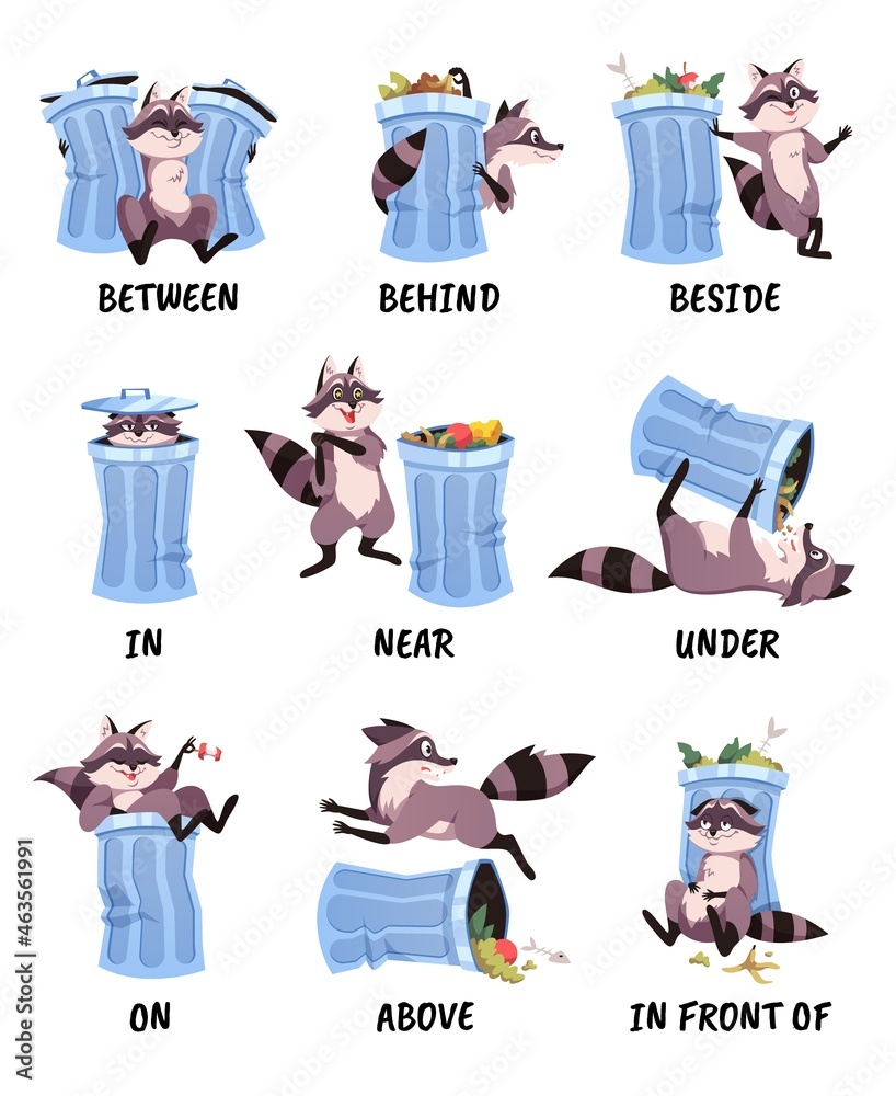 English prepositions. Funny raccoon and garbage can, language ...