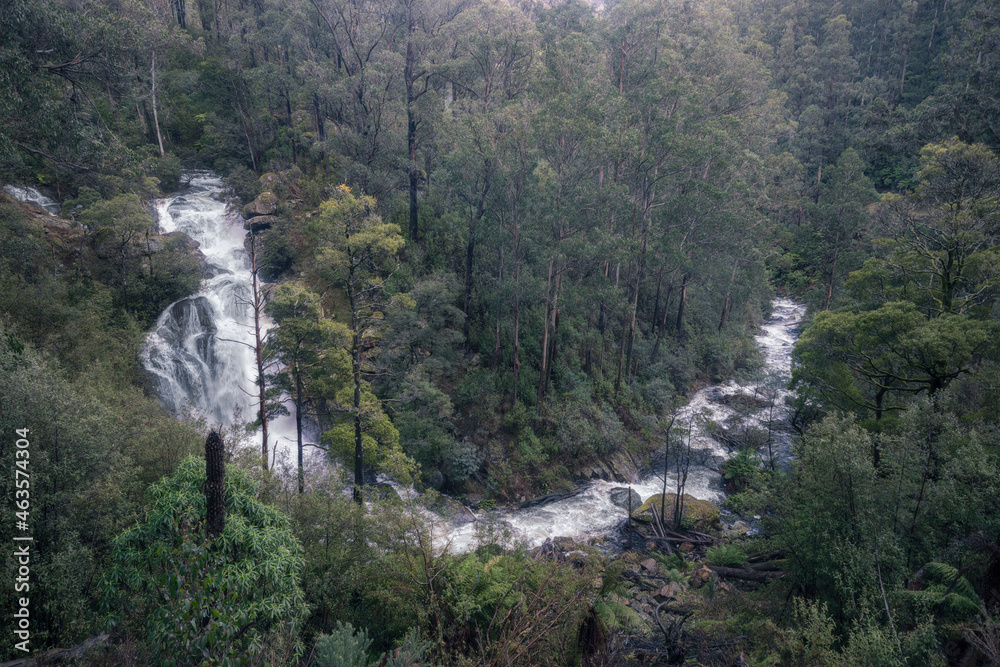 Waterfalls (Rubicon Falls) and forest in south east Australia Stock ...