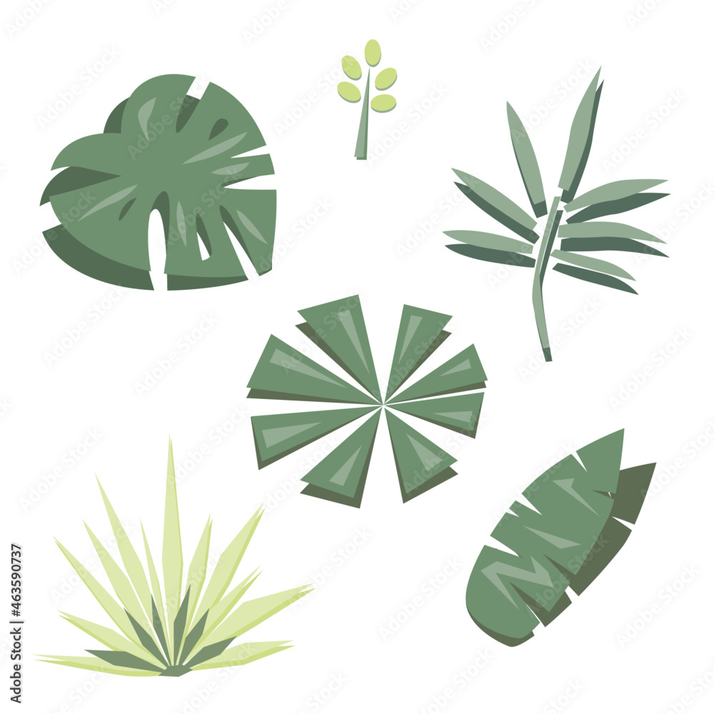 Collection of different tropical plants in cartoon style Stock Vector ...