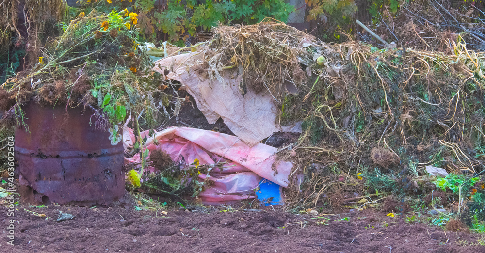 compost heap with garbage in the country and in the garden, a barrel ...